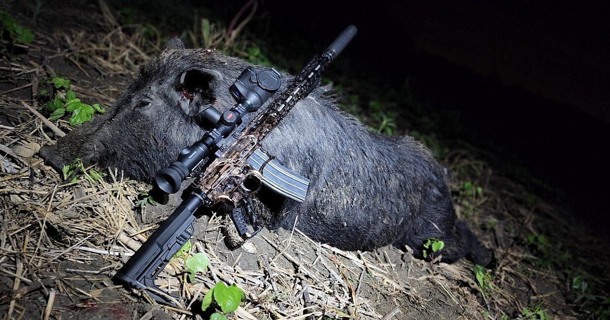 Pig Rigs: 10 Rifles to Fatten Retail Sales | Hunting Retailer